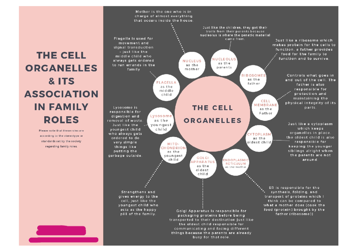 Organelles and Its Association in Family Roles (Infographic) - Medical ...