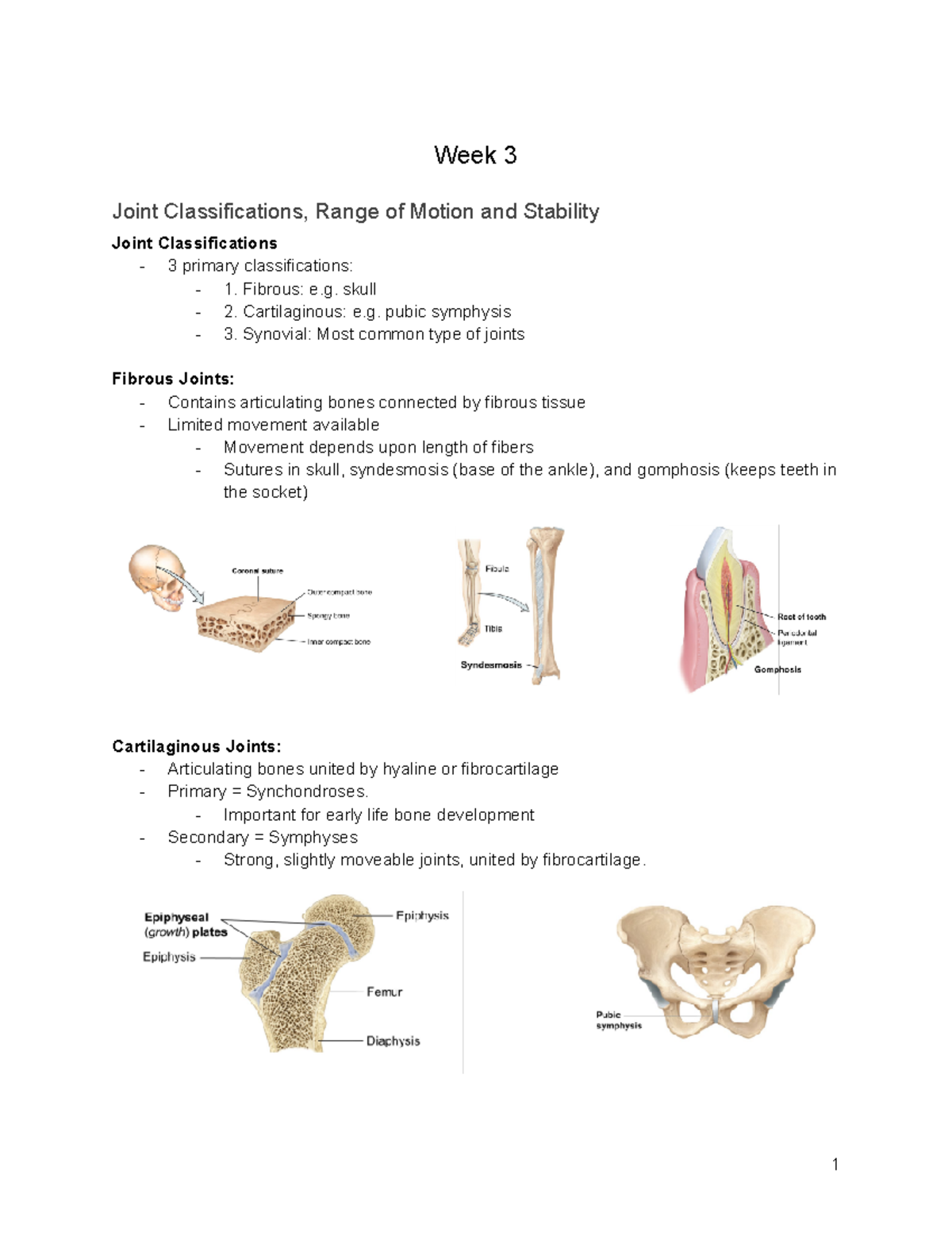 HS2300 WEEK 3 - Week 3 notes - Week 3 Joint Classifications, Range of ...