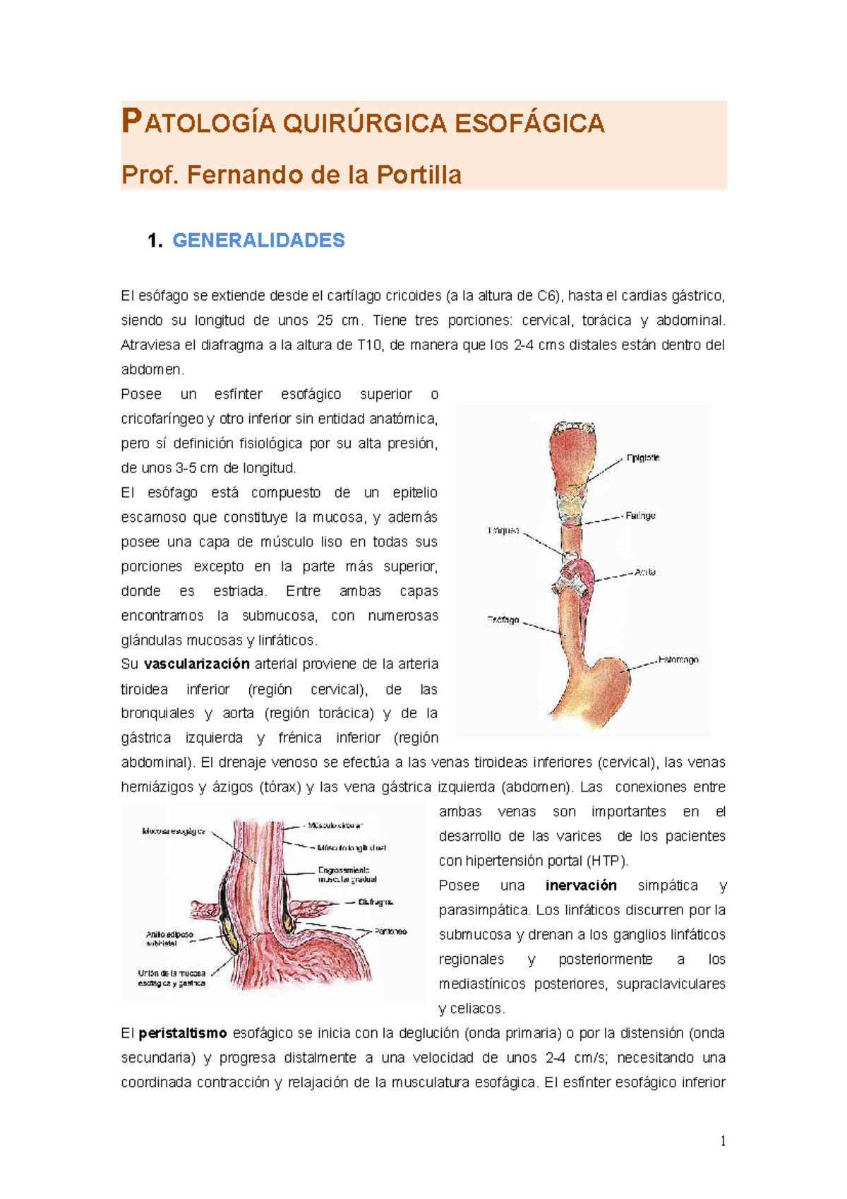 Esofago ( Menos Tumores) - PATOLOGÍA QUIRÚRGICA ESOFÁGICA Prof ...