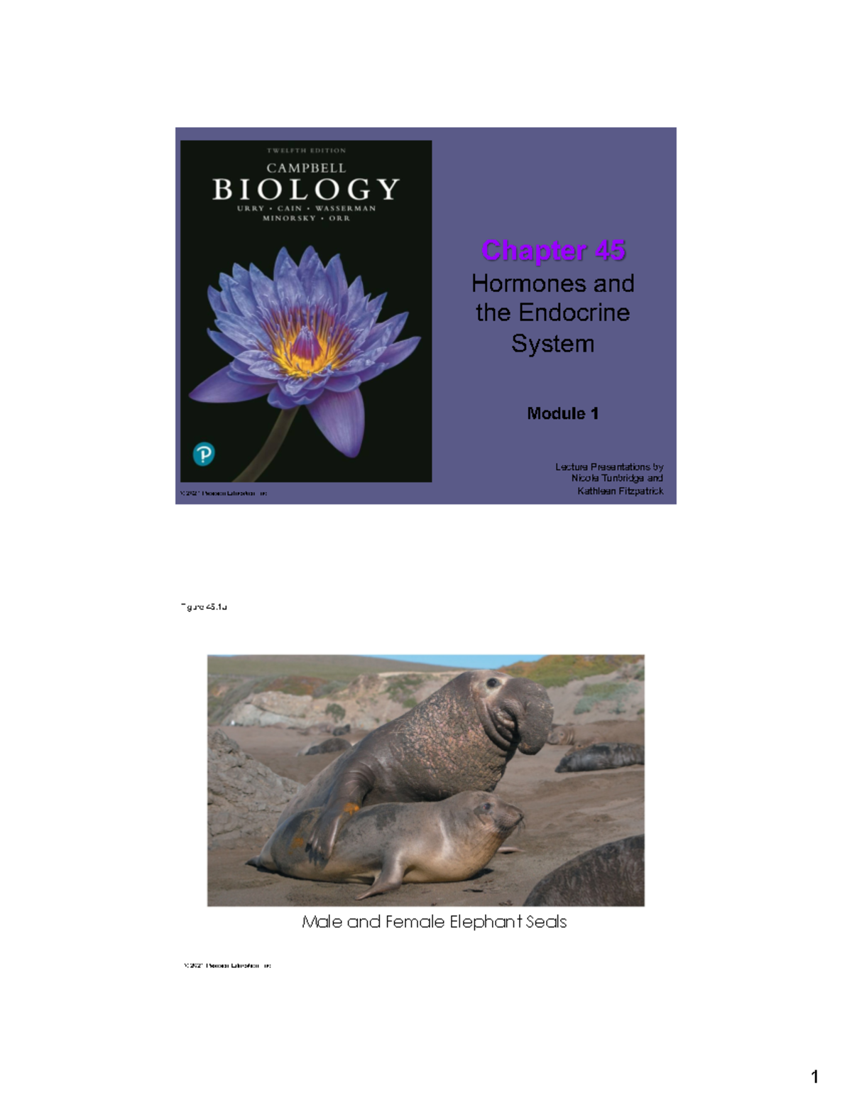 Chapter 45 Presentation - Lecture Presentations by Nicole Tunbridge and ...