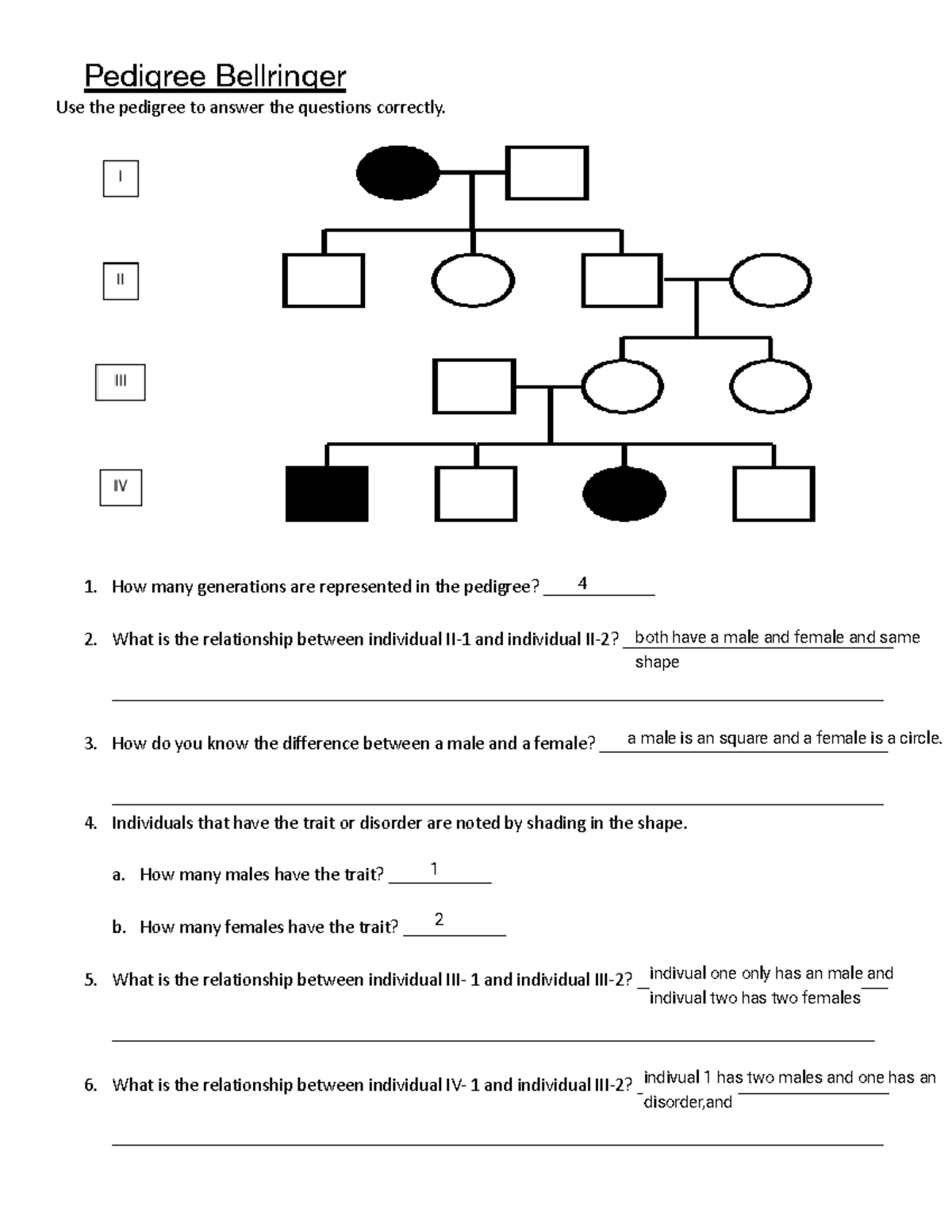 Kami Export - Shanya Price - Pedigree Practice - Pedigree Bellringer ...