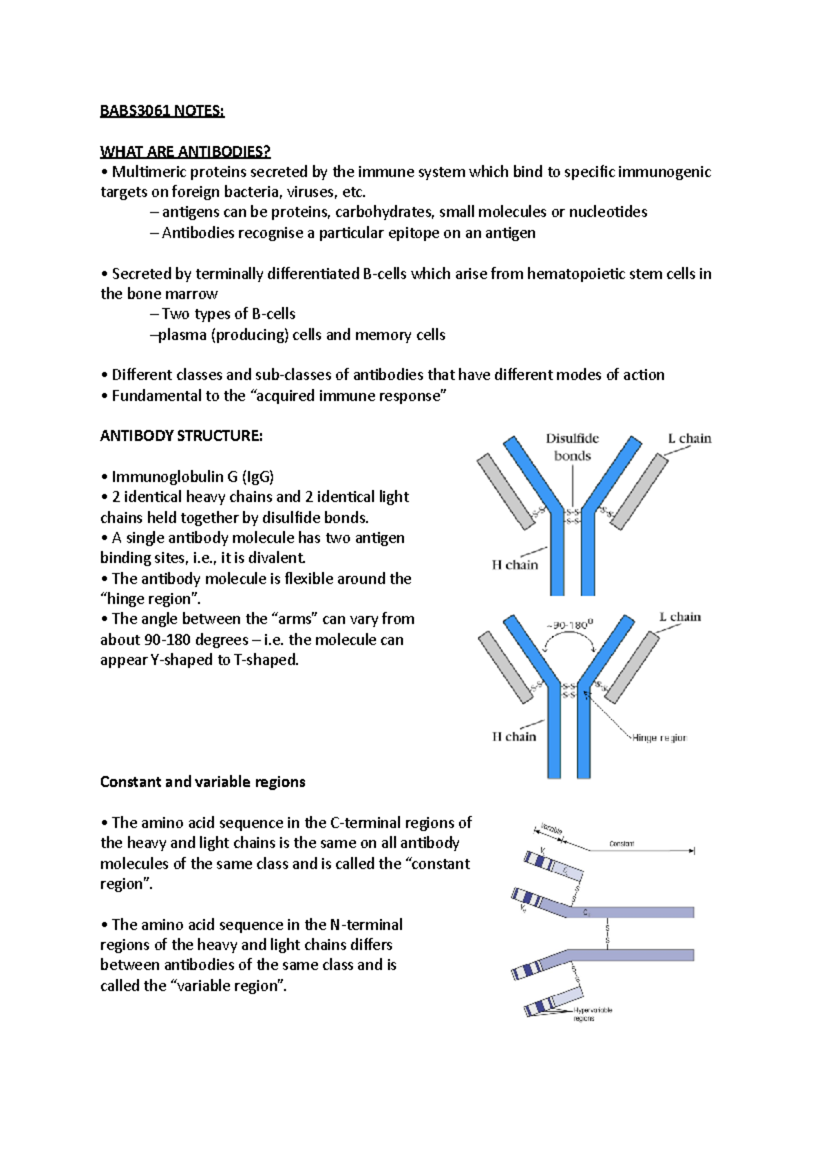 BABS3061 Notes - BABS3061 NOTES: WHAT ARE ANTIBODIES? Multimeric ...
