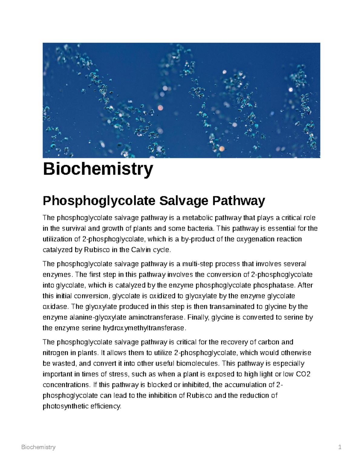 Phosphoglycolate salvage pathway - This pathway is essential for the ...