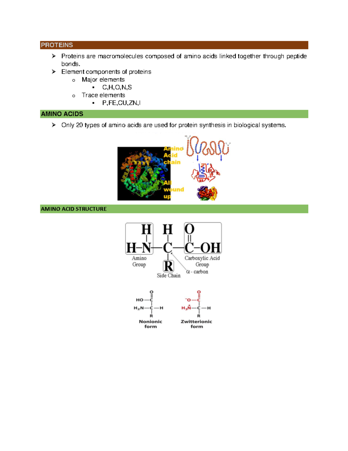 Proteins - fun to learn the basic unit of life - PROTEINS Proteins are ...