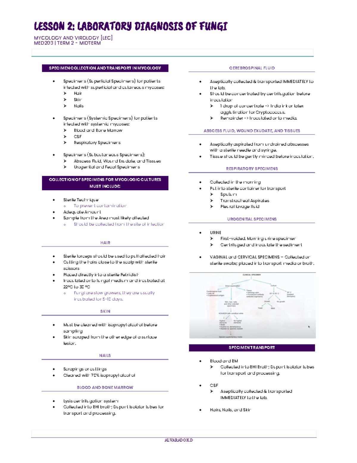 Mycoviro LEC Lesson-2 Laboratory- Diagnosis-OF- Fungi - MYCOLOGY AND VIROLOGY [LEC] MED203 ...