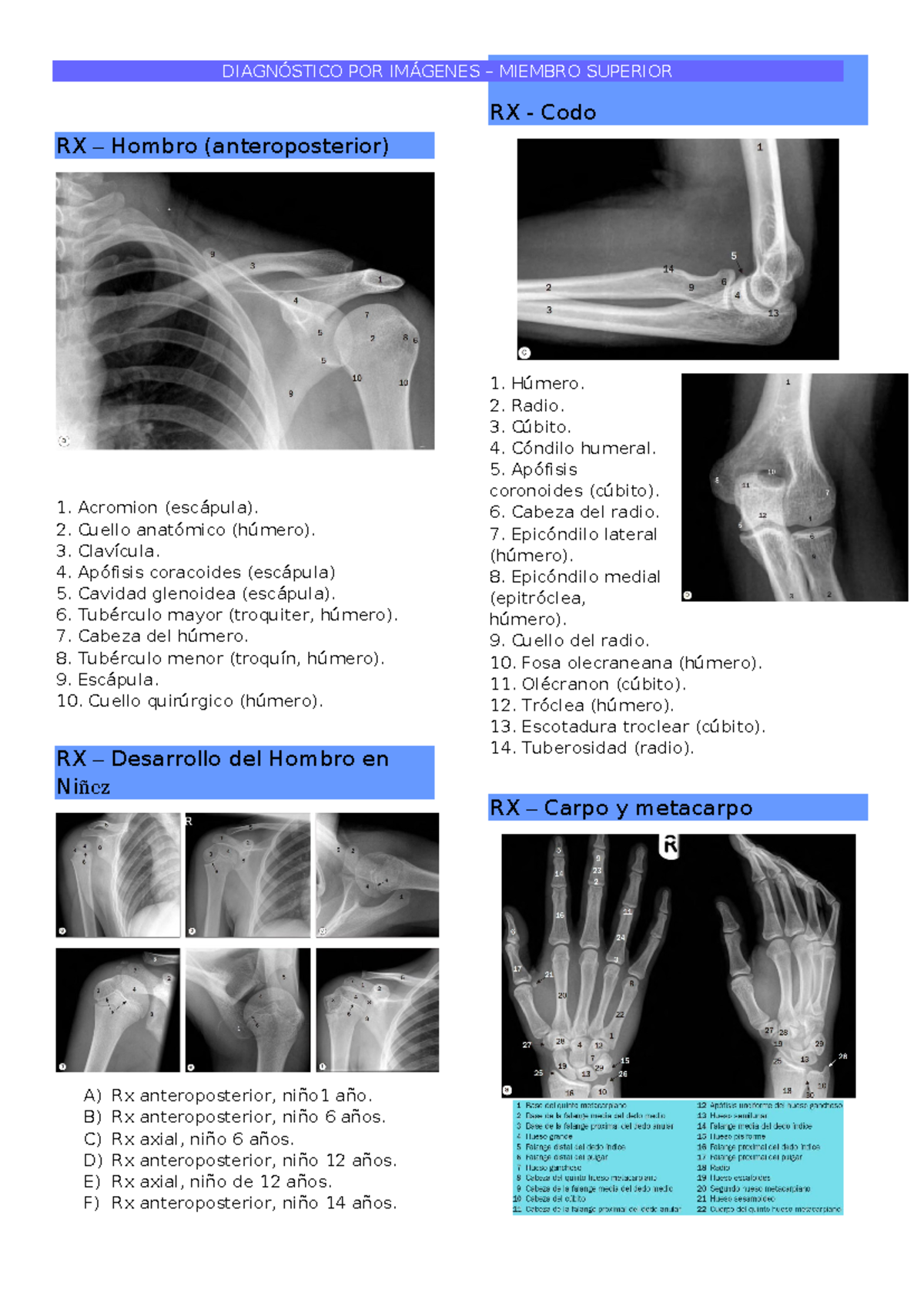Diagnóstico Por Imágenes 2 - Miembro Superior - RX – Hombro (anteroposterior) 1. Acromion - Studocu