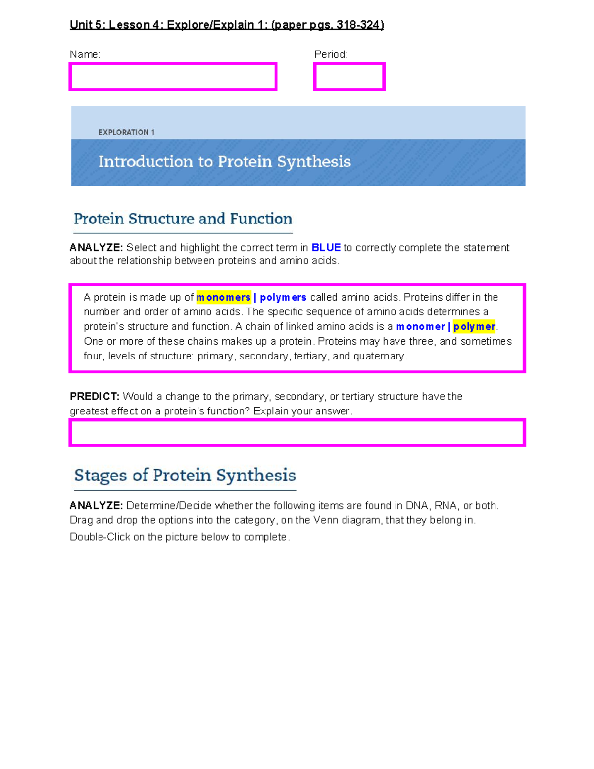 U5 L4 E1 Introduction to Protein Synthesis Will - Unit 5: Lesson 4 ...