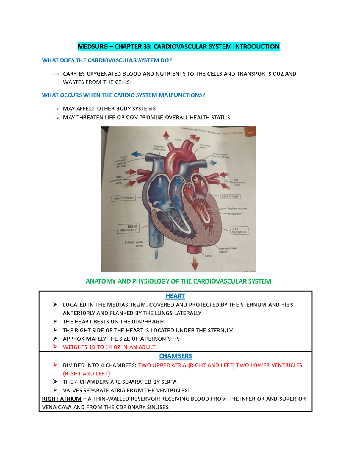 Cardiovascular System Medsurg Chapter 33 Cardiovascular System Introduction What Does The