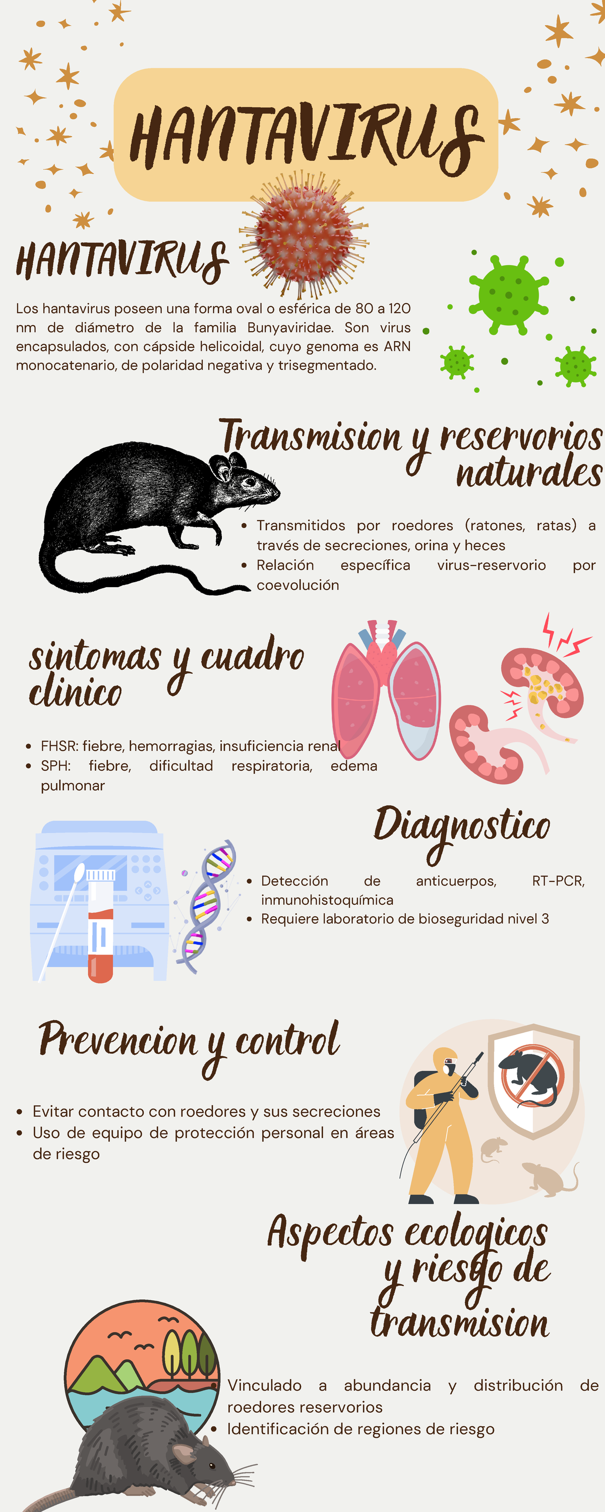 Hantavirus - micro hanta - Los hantavirus poseen una forma oval o ...