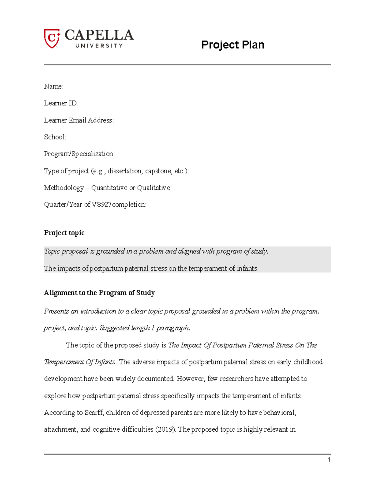 Project Plan Template Updated 4-22 - Name: Learner ID: Learner Email ...