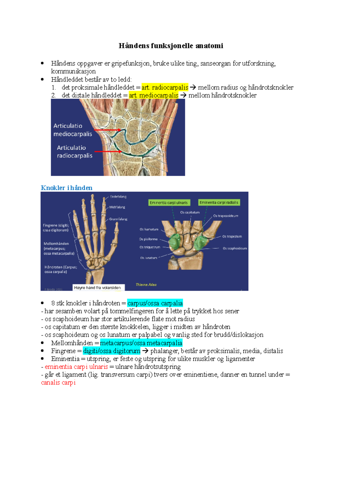 Håndens funksjonelle anatomi - Håndens funksjonelle anatomi Håndens ...
