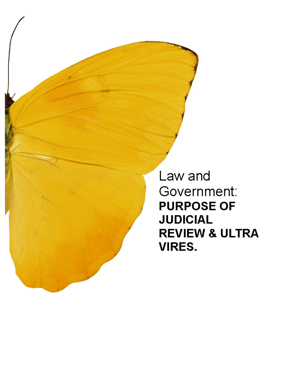 2 Judicial Review And Ultra Vires Law And Government PURPOSE OF 2-judicial-review-and-ultra-vires-law-and-government-purpose-of