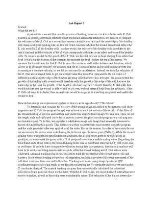 Lab 4 - lab 4 - Lab Report 4 Hypothesis: We hypothesize that our log vs ...