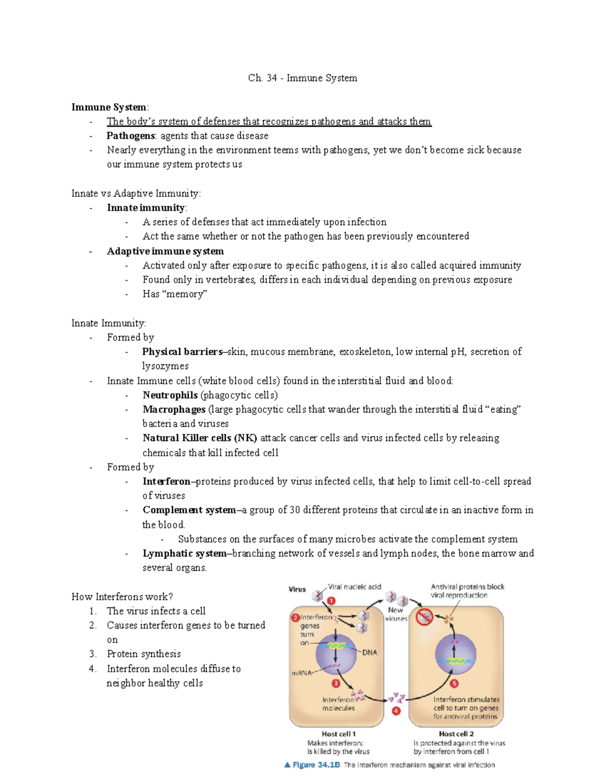 BIOL 150B - Ch. 34 - Dr. Beauchamp - Ch. 34 - Immune System Immune ...