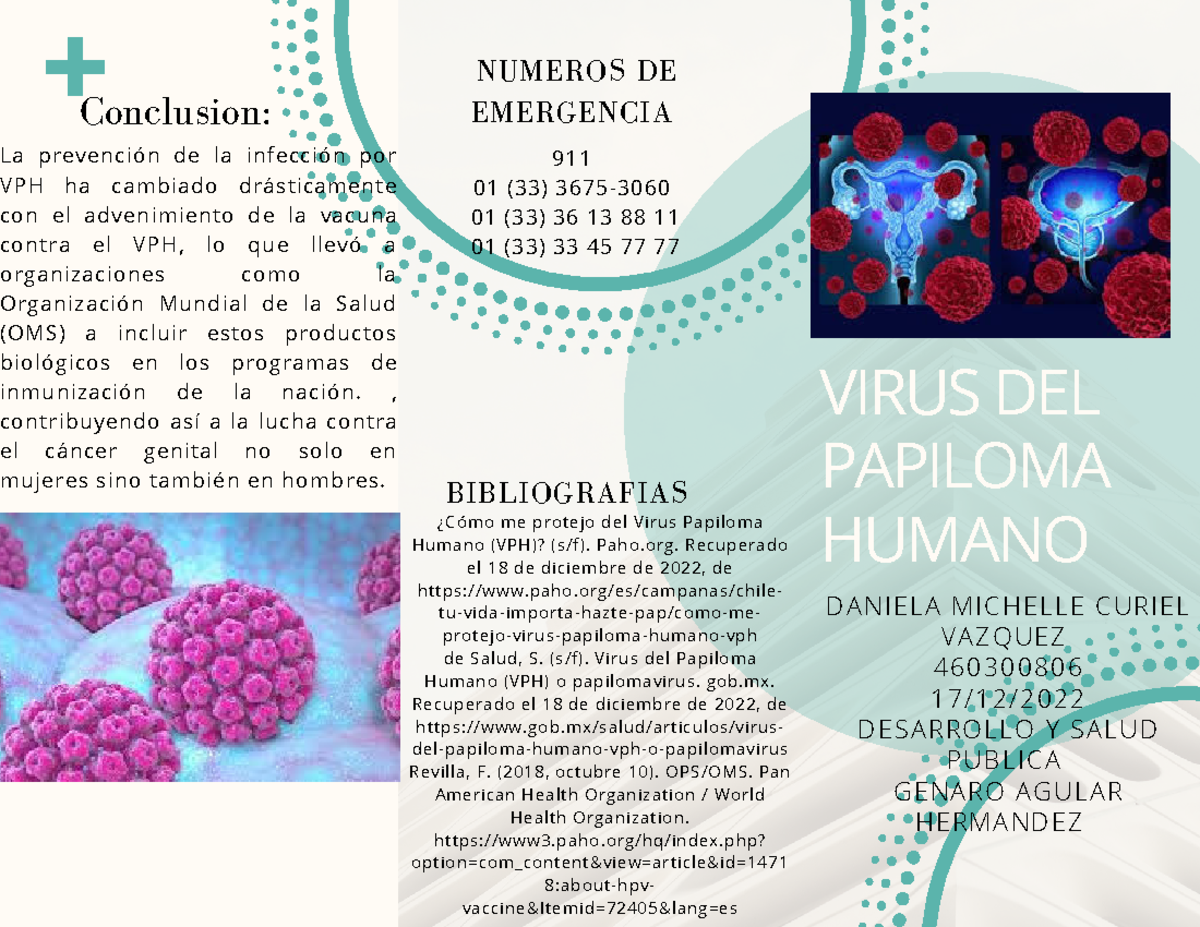 ACT16 Triptico DMCV - Conclusion: VIRUS DEL PAPILOMA HUMANO D A N I E L ...