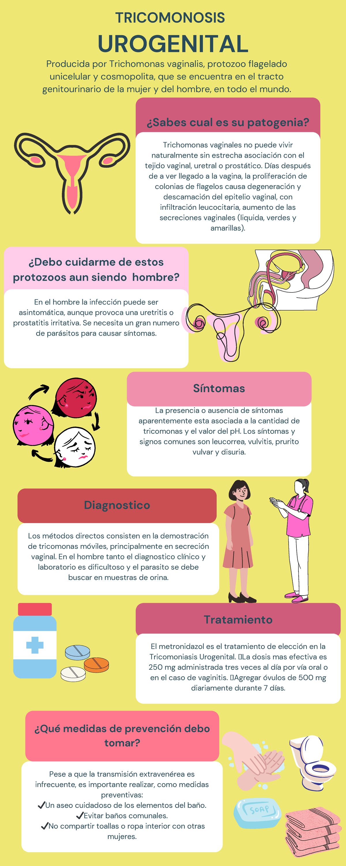 Infografia de tricomonosis urogenital - ¿Sabes cual es su patogenia ...