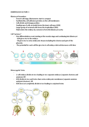 HUB2019 F embryology - Lechre1: Introduction Hi Embyology Why we study ...
