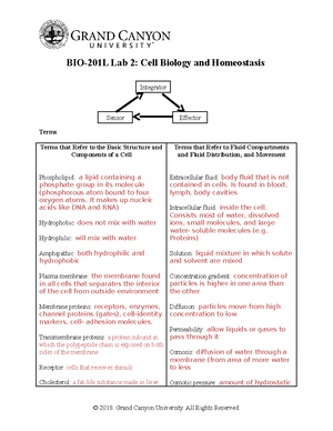 Week 6 cerego lab - Week 6 cerego lab LO 6. What are the two types of ...