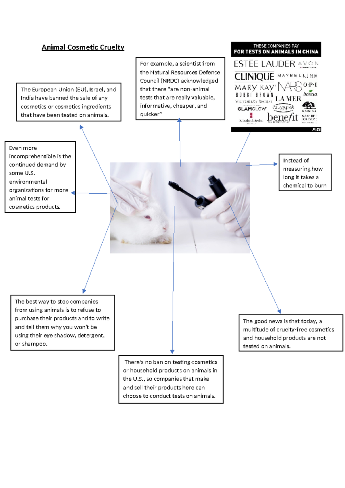 Animal Cosmetic Cruelty poster RPE - Copy - Animal Cosmetic Cruelty The ...