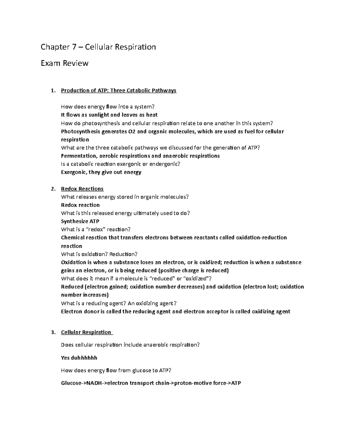 Chapter 7 Exam Review - Chapter 7 – Cellular Respiration Exam Review ...