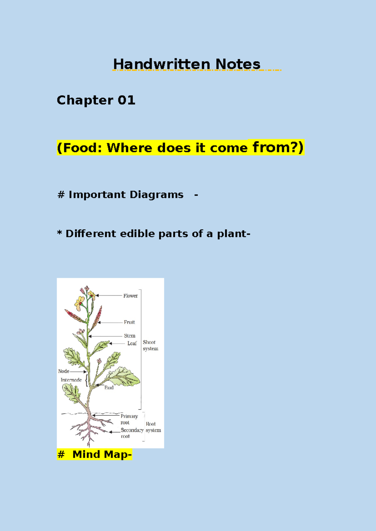 Handwritten Notes Chapter 01 - Creativity, Activity, Science ...