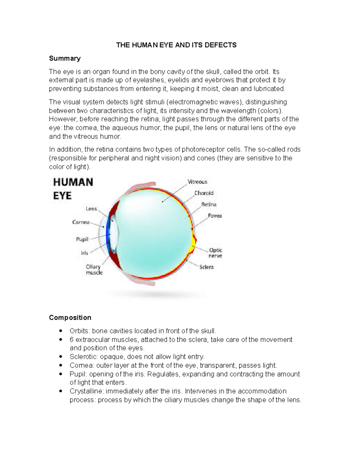The human eye and its defects - THE HUMAN EYE AND ITS DEFECTS Summary ...