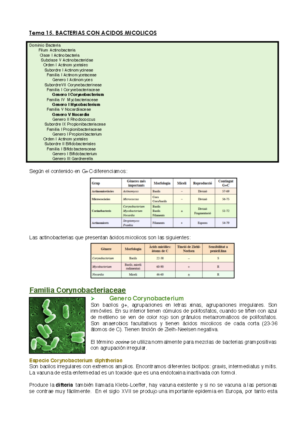 Tema 15. Bacterias CON Acidos Micolicos - Tema 15. BACTERIAS CON ACIDOS ...