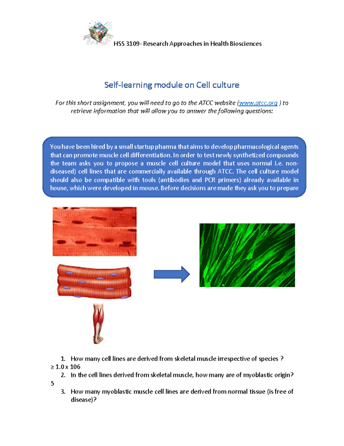 Cell culture assignement Fall2023 update student version - HSS 3109 ...