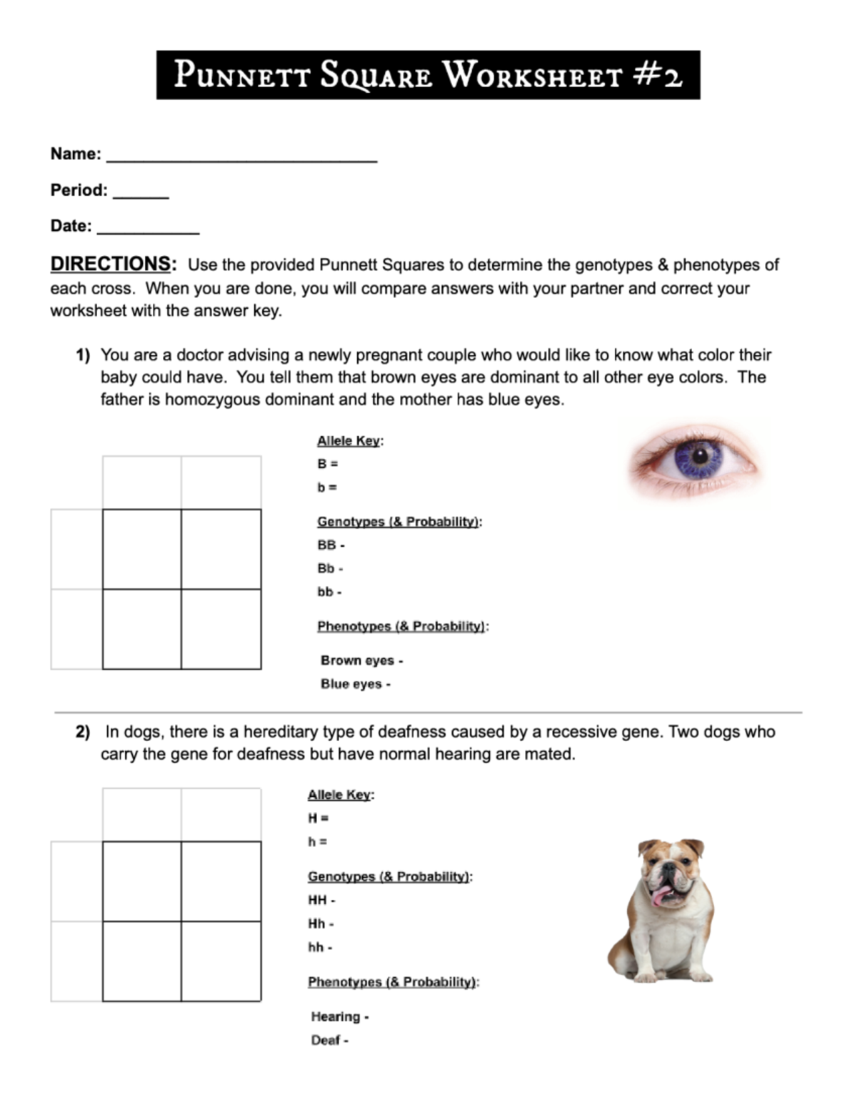 Punnett Square Worksheet #2 Revised - 2 Revised (1) - BIO-111-01 - Studocu