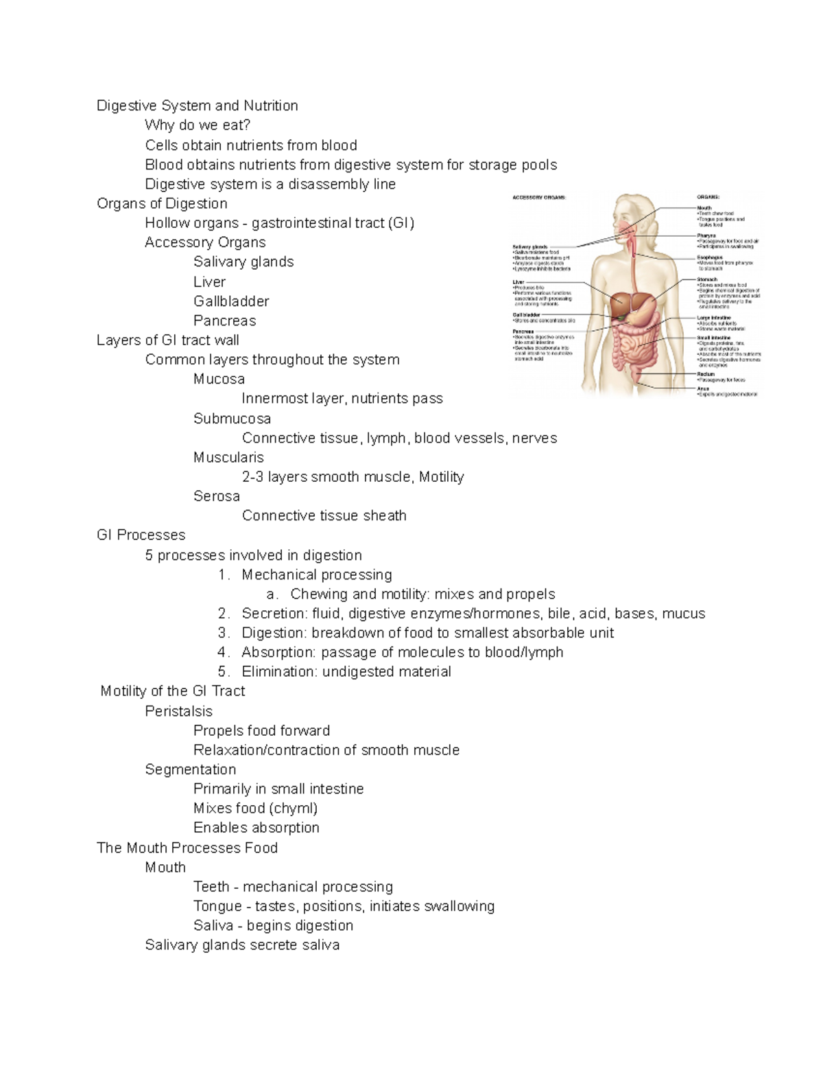 Chapter 14 - Human Biology - Digestive System and Nutrition Why do we ...