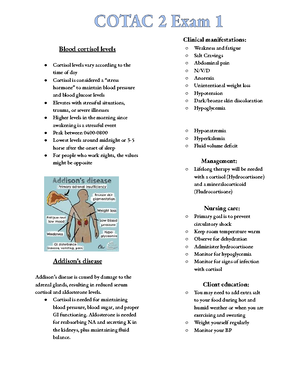 1. 3 Step ABG Interpretation - 3 Step ABG Interpretation Mike’s ...