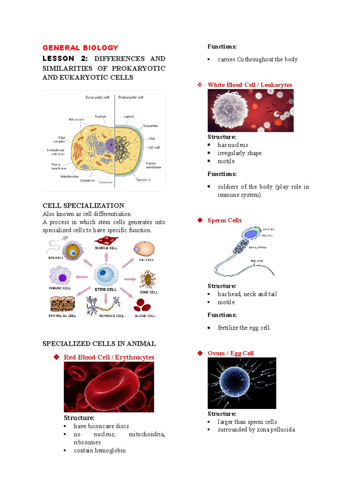 Genbio- Lesson-2 - GENERAL BIOLOGY LESSON 2: DIFFERENCES AND ...