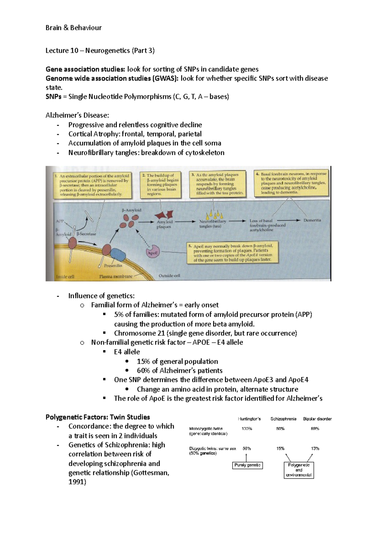 Lecture 10 – Neurogenetics - Lecture 10 – Neurogenetics (Part 3) Gene ...