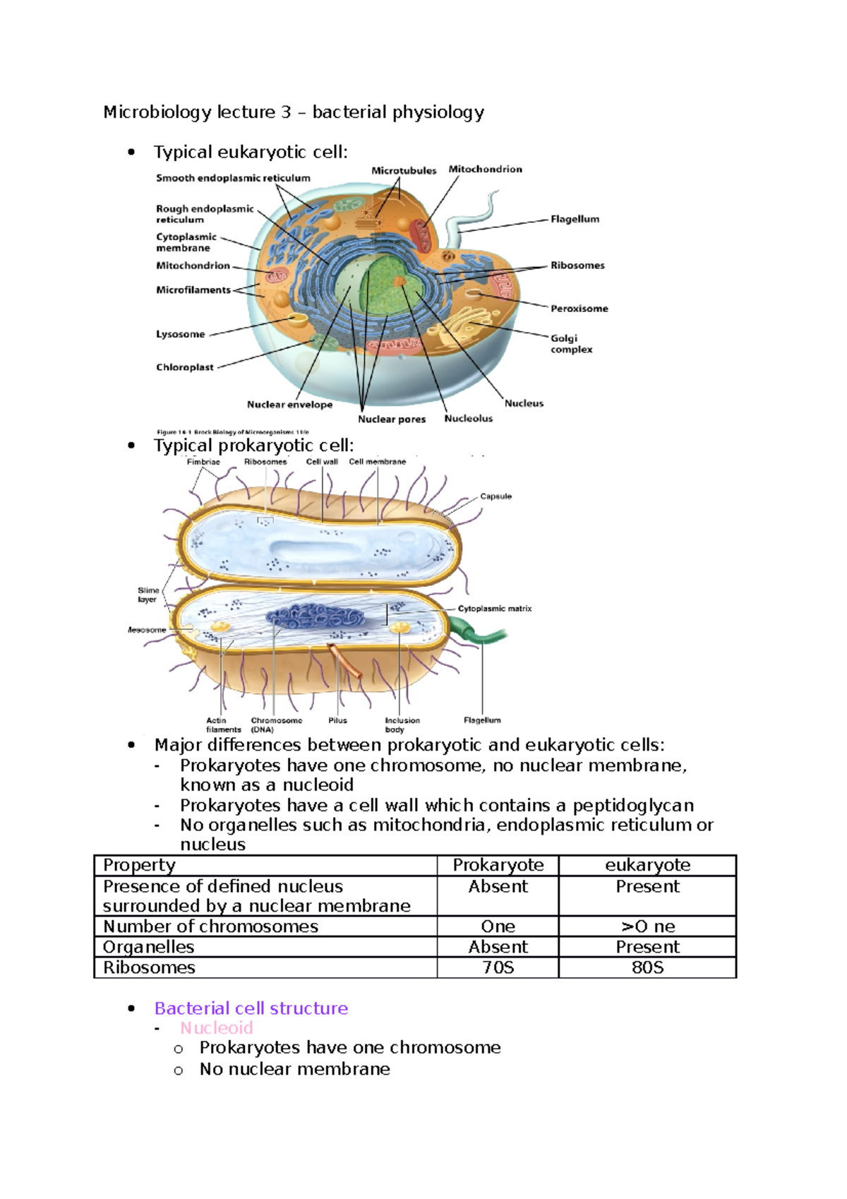 Microbiology lecture 3 - Studocu