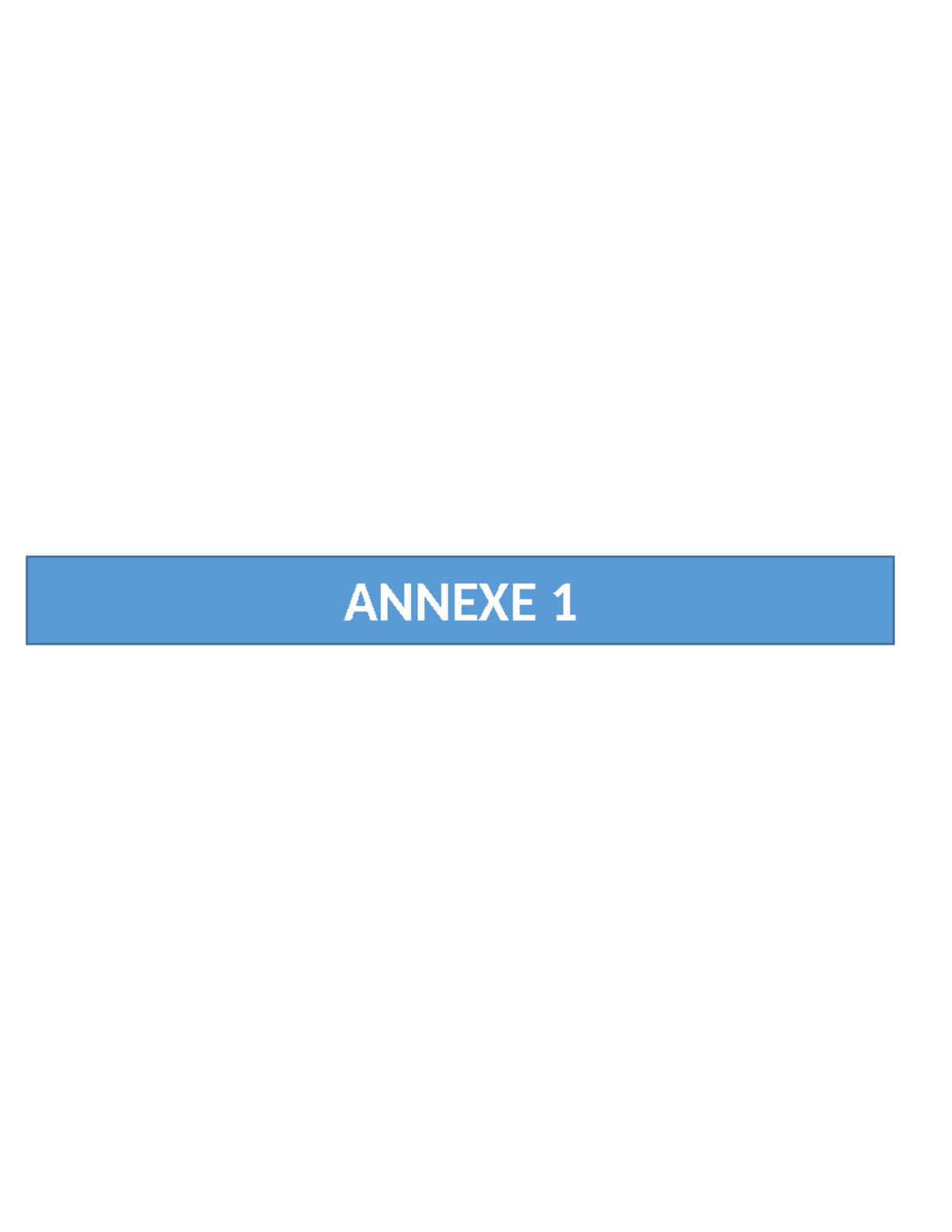 Annex - Liste des Annexes Annexe 1 : Facture d’achat Annexe 2 : Facture ...