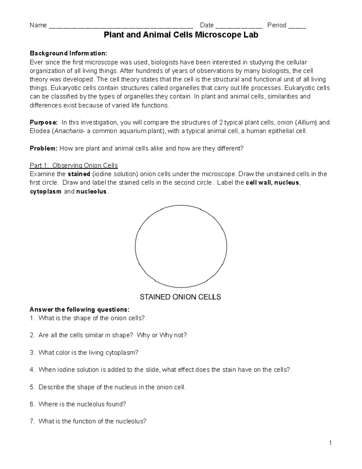 Plant and Animal Cells Microscope Lab- Absent - Name