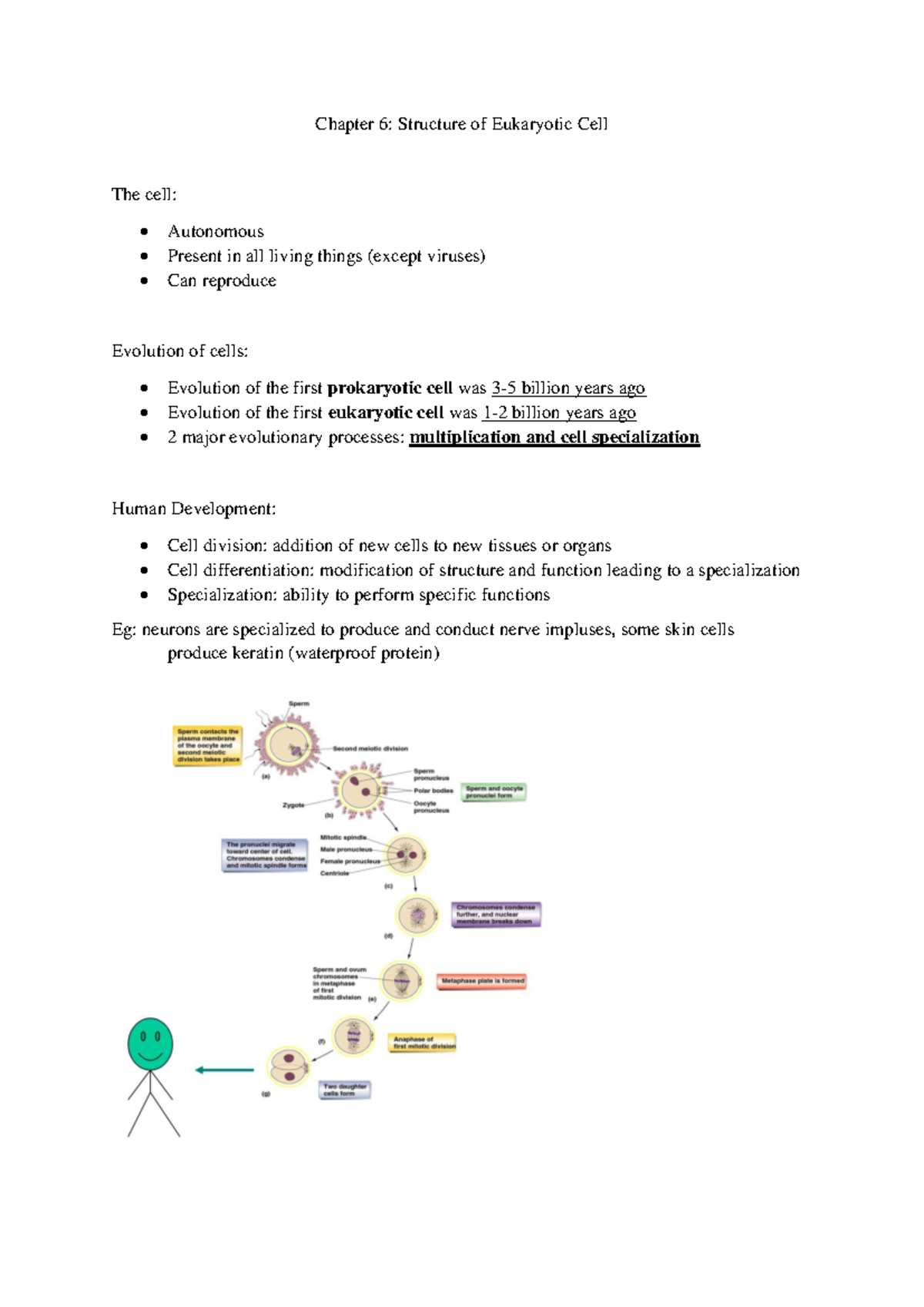 Bio1109chapter 6 - cell strcutres icnluding animal and plant - Chapter 6: Structure of ...