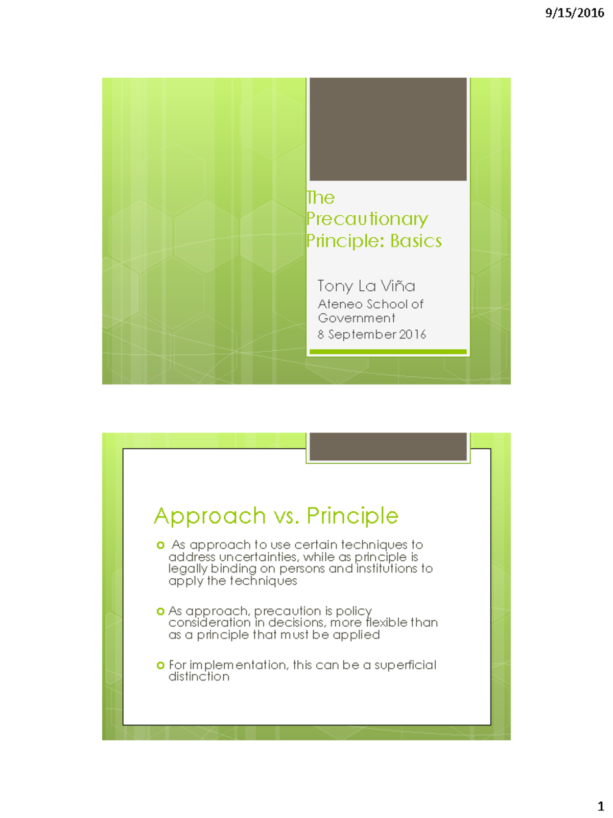 Precautionary Principle - The Precautionary Principle: Basics Tony La ...