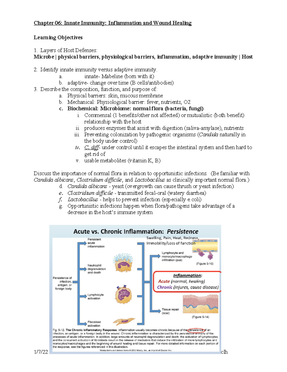 Patho Ch.6 Inflammation and Wound Healing - Learning Objectives Layers ...