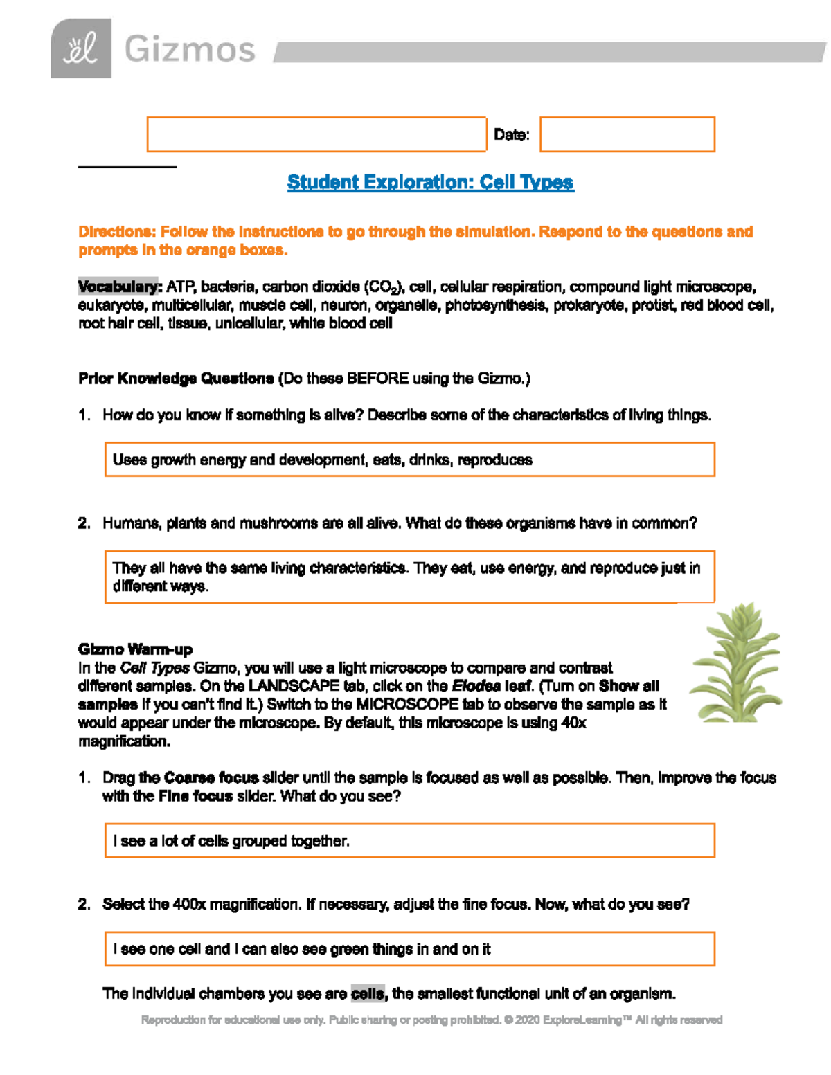 Gizmos Student Exploration Cell Types Studocu gizmos-student-exploration-cell-types-studocu