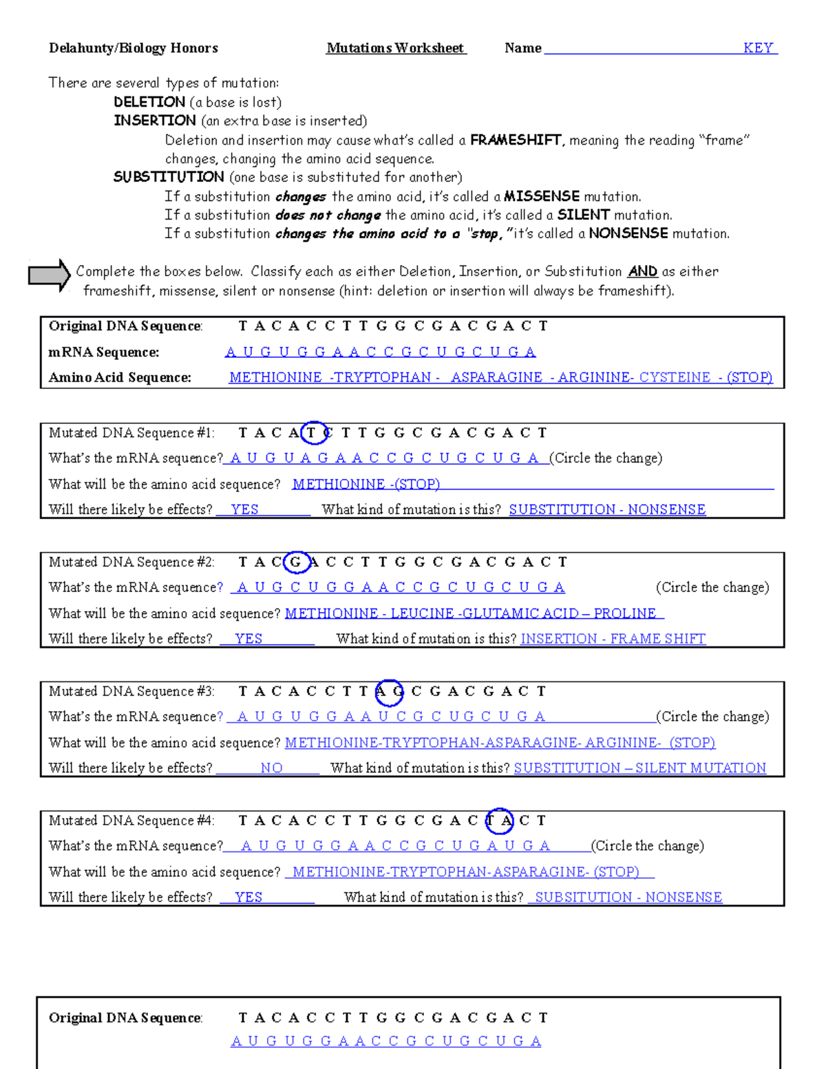 Mutations - ws - key - Delahunty/Biology Honors Mutations Worksheet ...