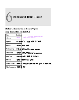 Chapter 6 Bones And Bone Tissue Study Guide Chapter 6 Bones And Bone