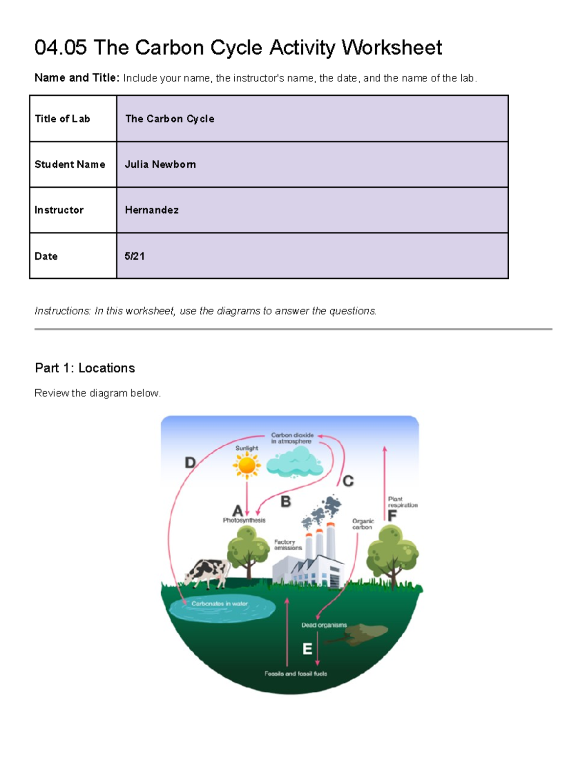 Carbon worksheet 1 - 04 The Carbon Cycle Activity Worksheet Name and ...