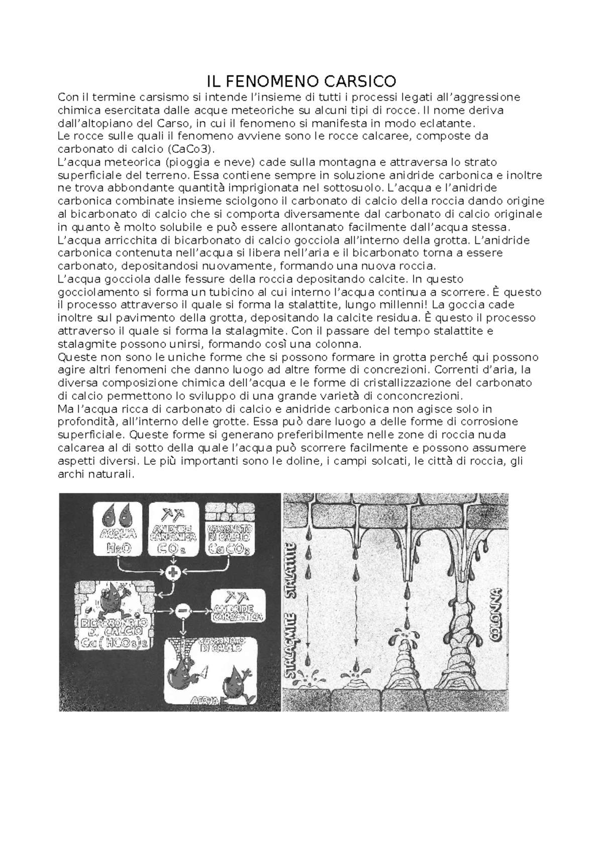 Il carsismo - Relazione sul fenomeno carsico - IL FENOMENO CARSICO Con ...