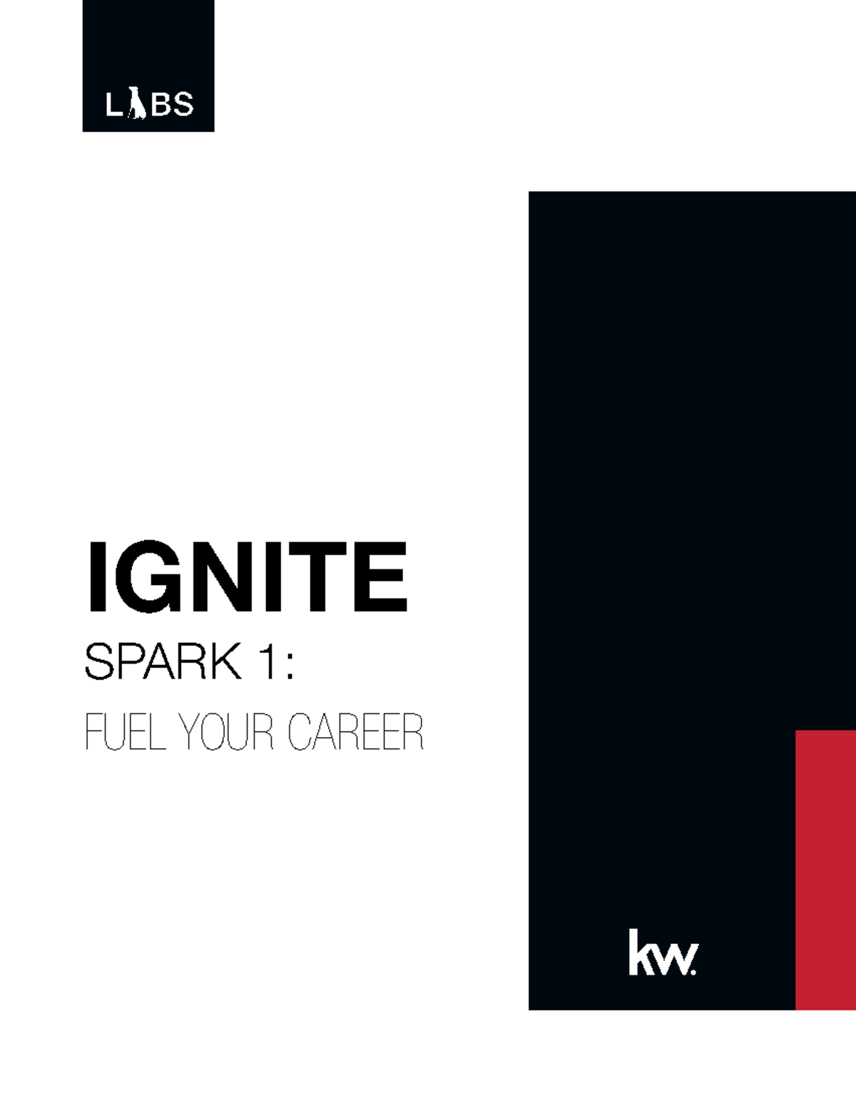 Ignite, Spark 1- Fuel Your Career - IGNITE SPARK 1: FUEL YOUR CAREER ...
