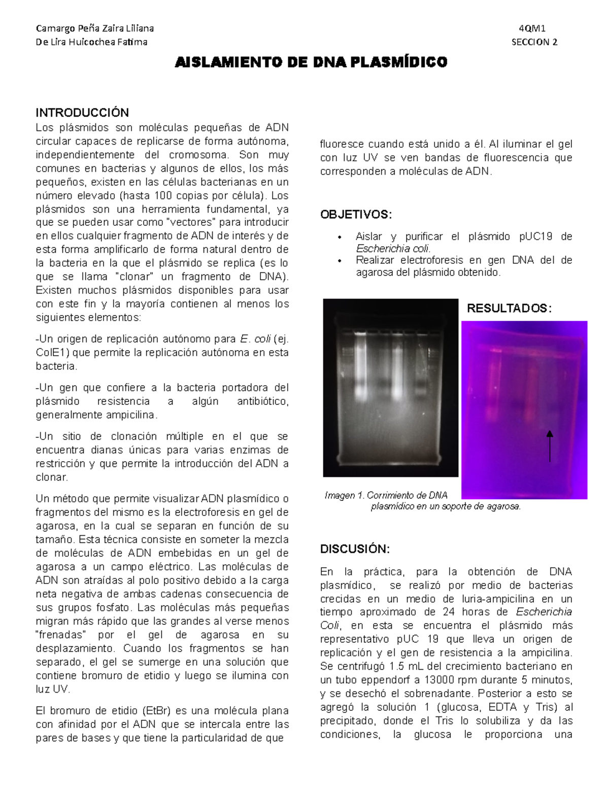 Bioquímica-práctica-14 - Camargo Peña Zaira Liliana 4QM De Lira Huicochea Fatima SECCION 2 - Studocu