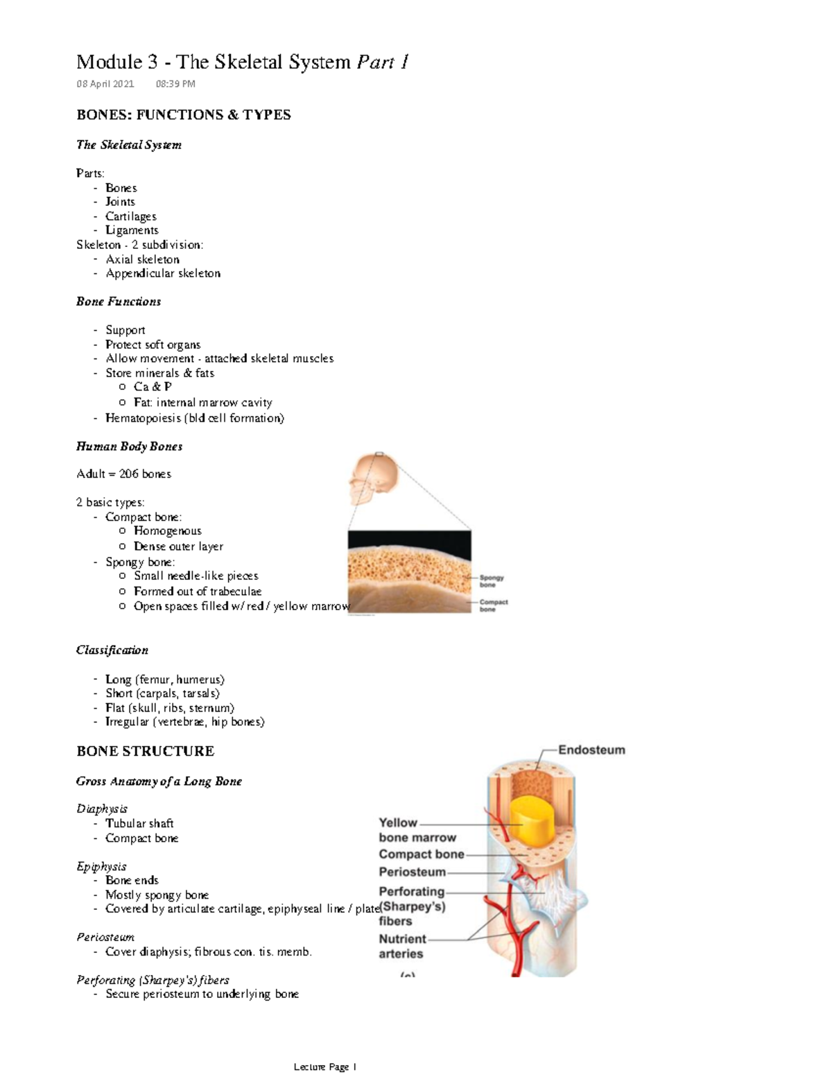 APH - The Skeletal System Part 1 - BONES: FUNCTIONS & TYPES The ...