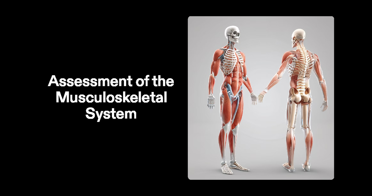Assessment of the Musculoskeletal System WK10- powerpoint HA ...