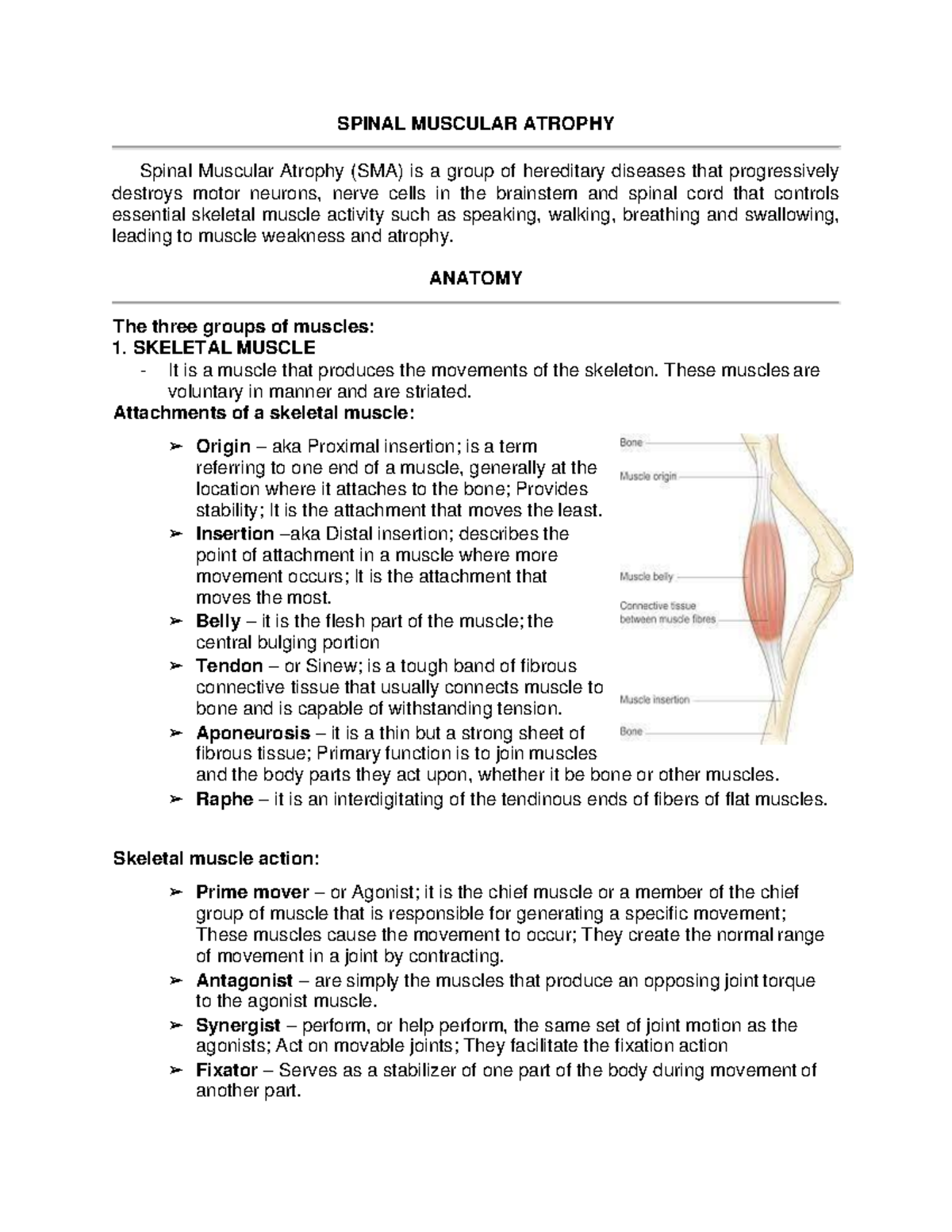 Spinal Muscular Atrophy Physical Therapy Case Presentation - SPINAL ...