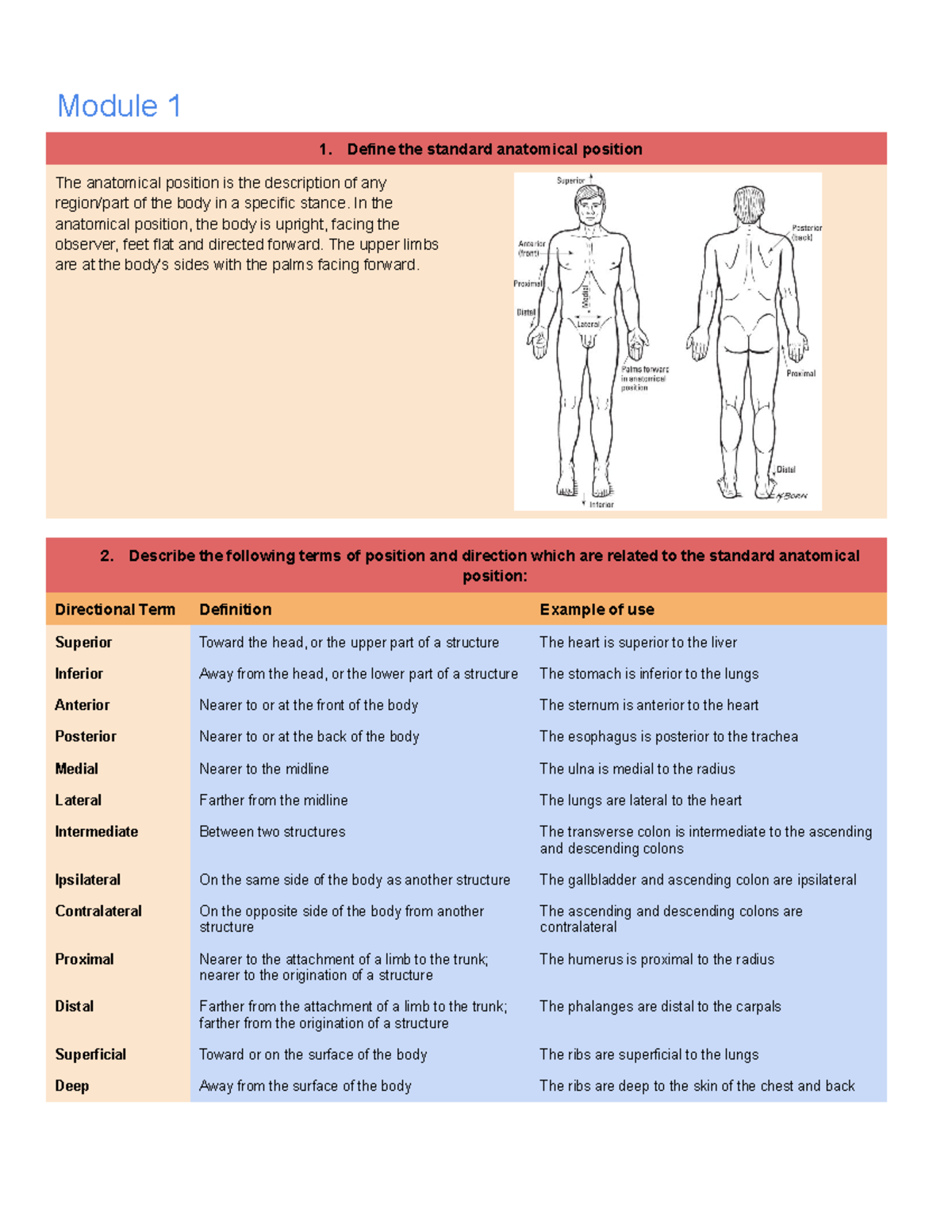 ANAT101 Notes - Topics 1 - 3 in depth - Module 1 1. Define the standard ...